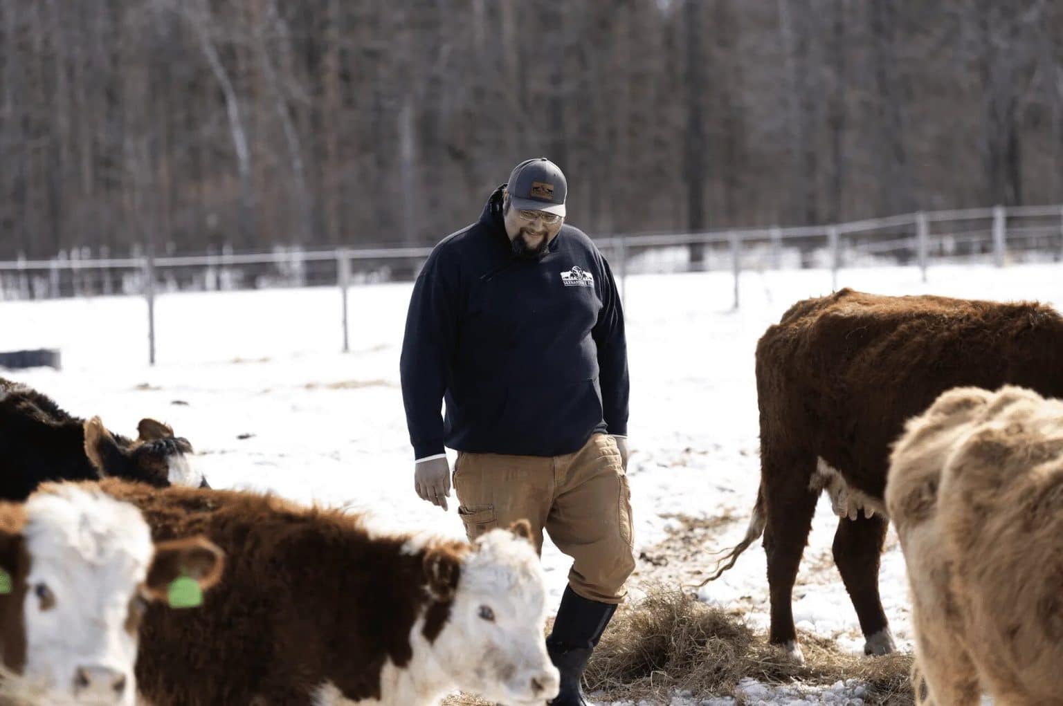 Jennifer Schorn - Bucks County, Candidate, District Attorney